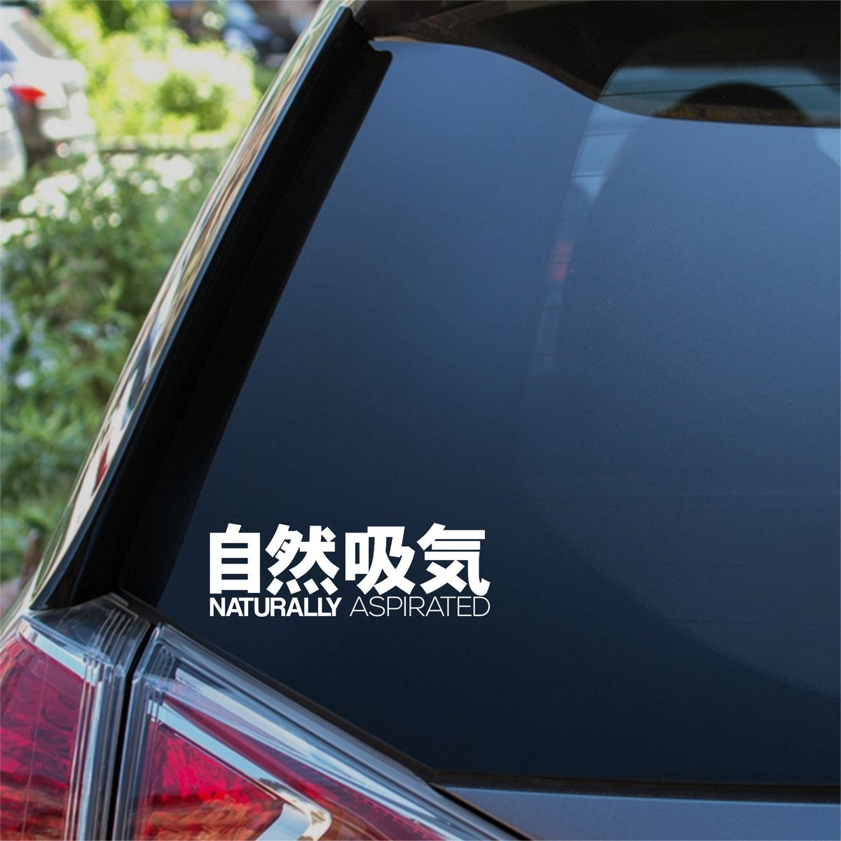 Naturally Aspirated Kanji Car Sticker | 38k Vinyl Graphics