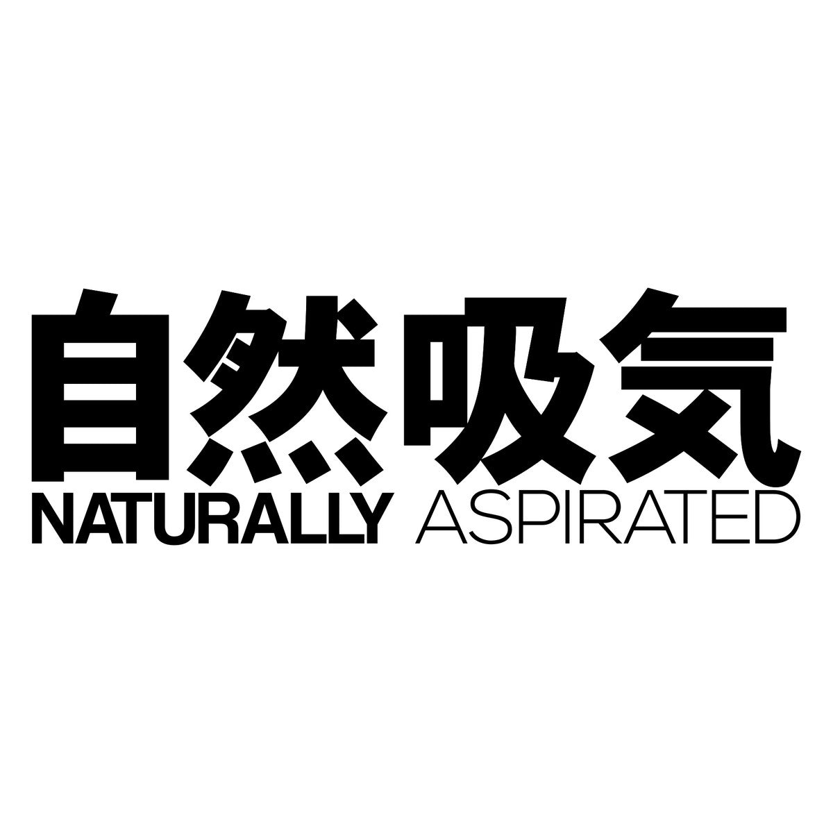 Naturally Aspirated Kanji Car Sticker | 38k Vinyl Graphics